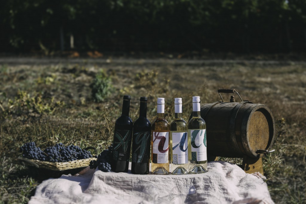 Ala Agrici, despre afacerea de familie care le poartă numele departe în lume: Agrici.wine ...