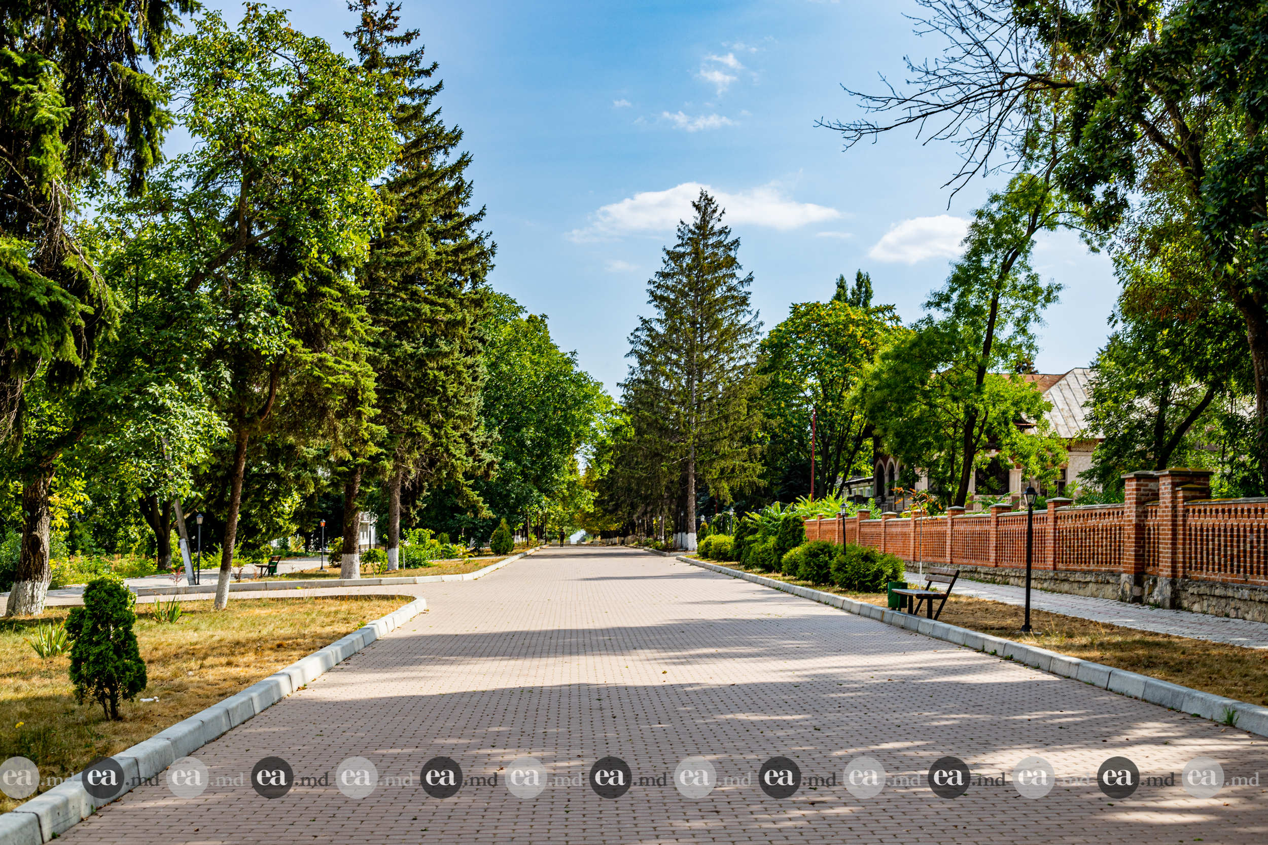 Povestea celui mai mare parc din țara noastră. Parcul din Țaul ...