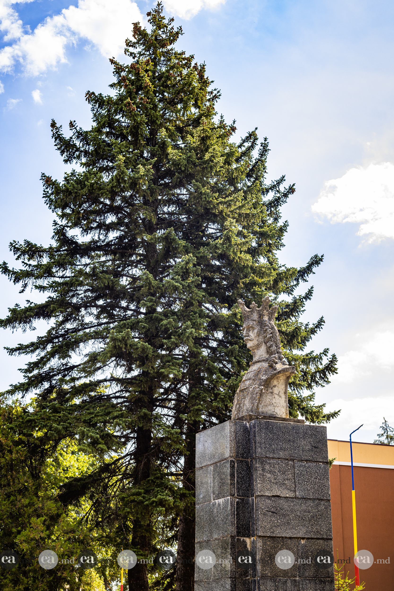 Povestea celui mai mare parc din țara noastră. Parcul din Țaul ...