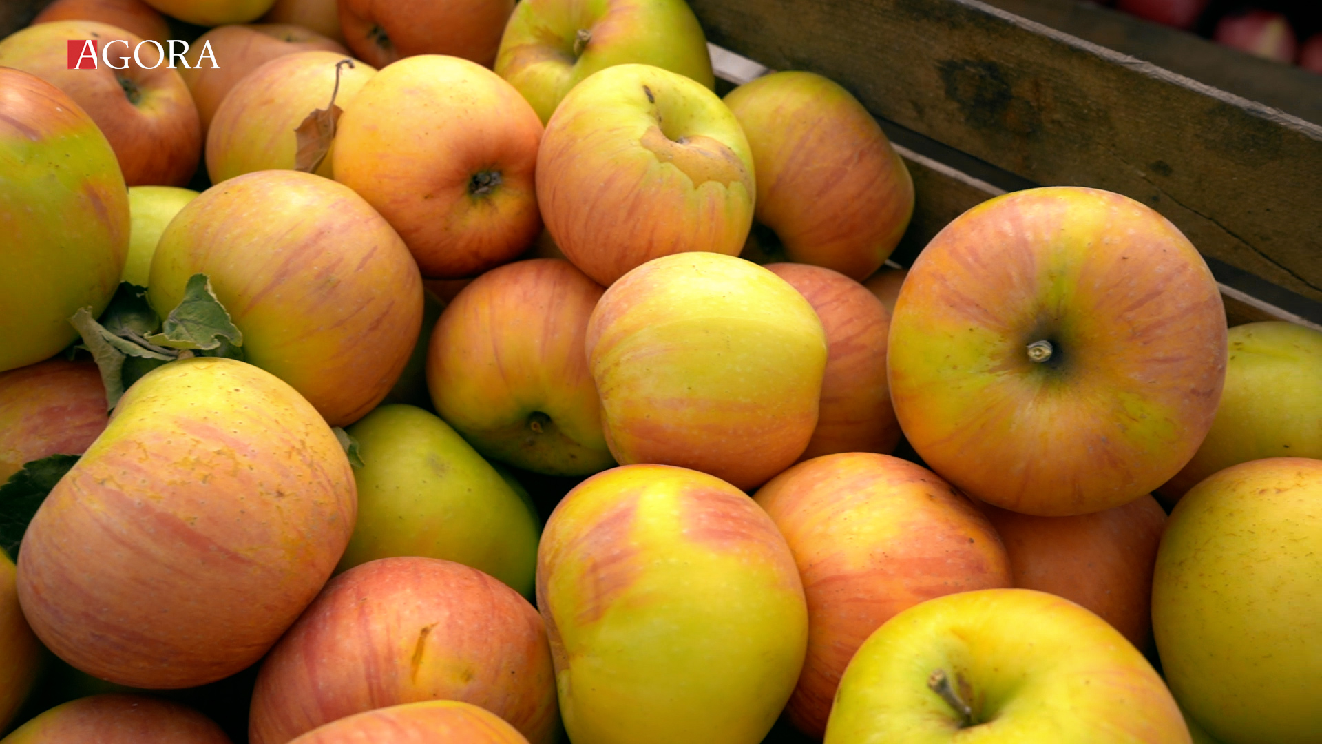 Mai mulți producători autohtoni au adunat roada din acest sezon și o ...