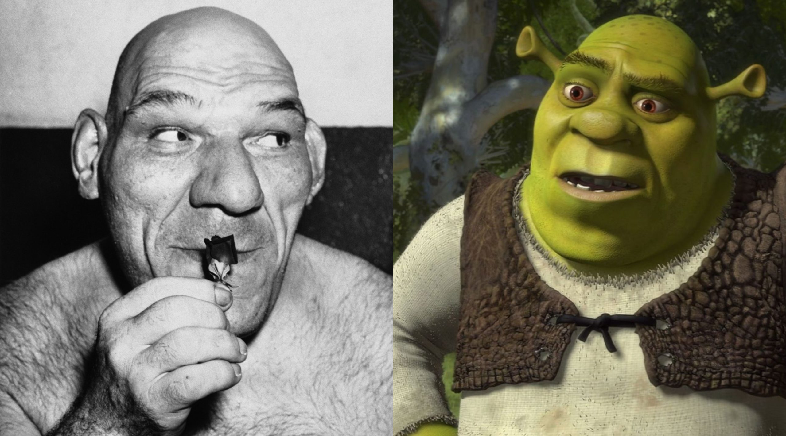 Cine este bărbatul care ar fi inspirat crearea lui Shrek (Foto) - ea.md