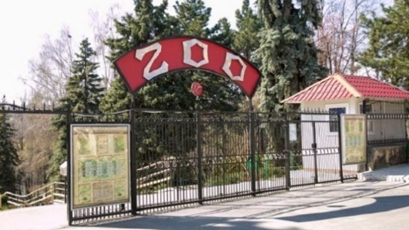 Acces liber pentru copii, de 1 iunie, la Grădina Zoologică! - ea.md