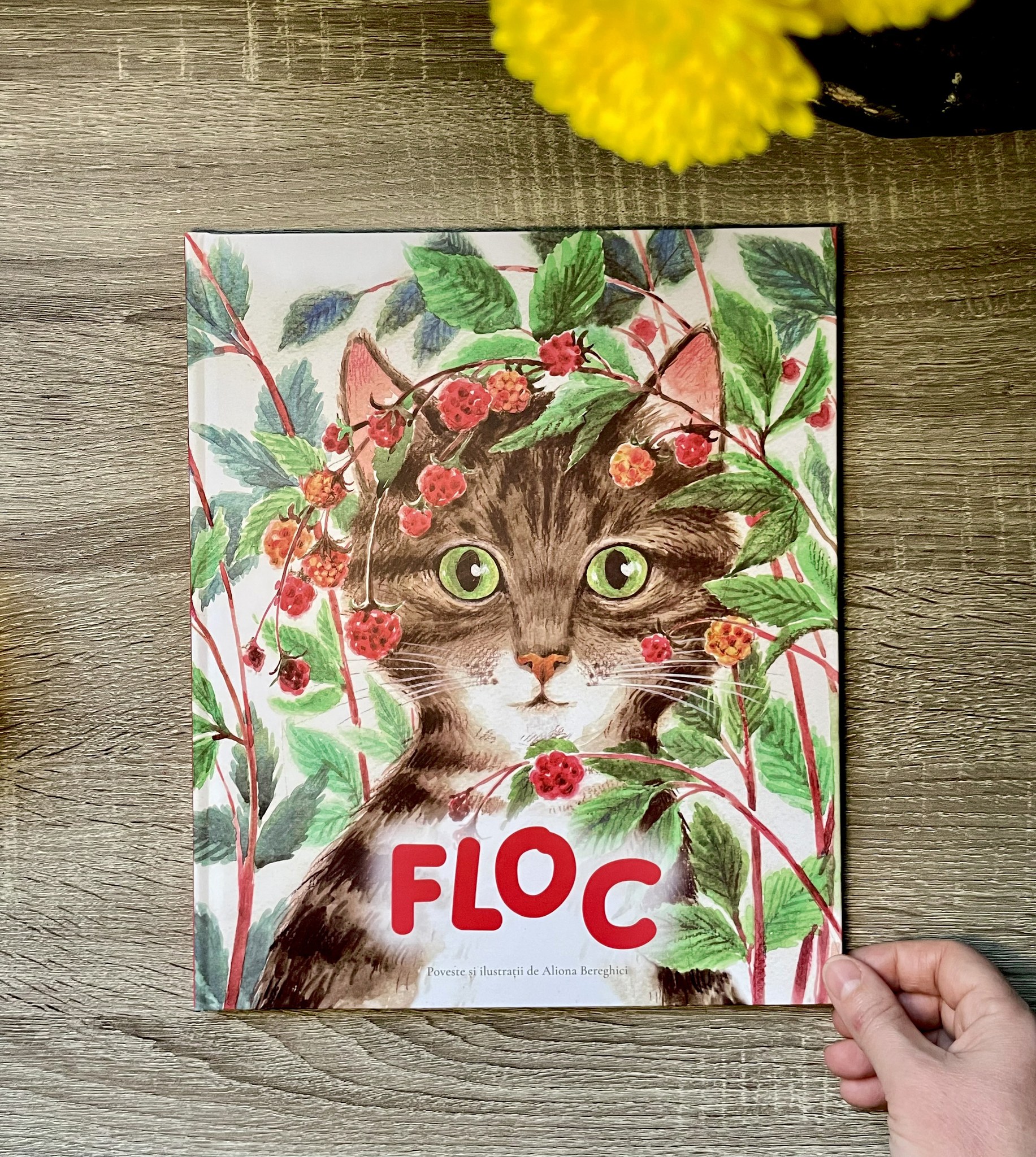 „Floc” - o carte superbă despre prietenie și devotament - ea.md