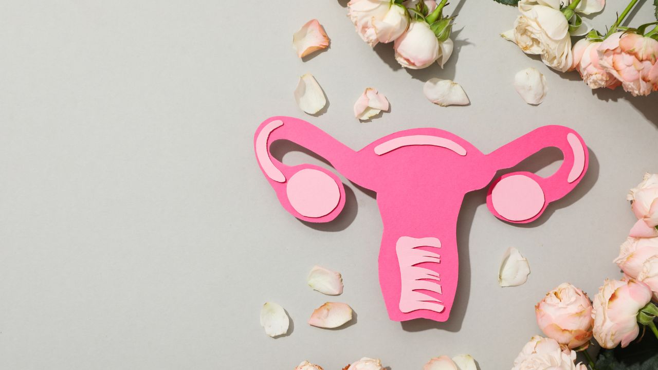 Anatomia uterului: tipuri de malformații și implicățiile lor - ea.md