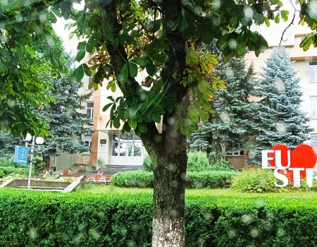Fii turist la tine acasă! Istoria conacului Manuc Bey de la Hîncești ...