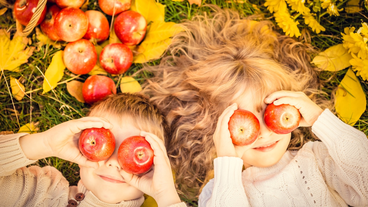 20 de idei de activități creative pentru copii în toamna 2024 - ea.md