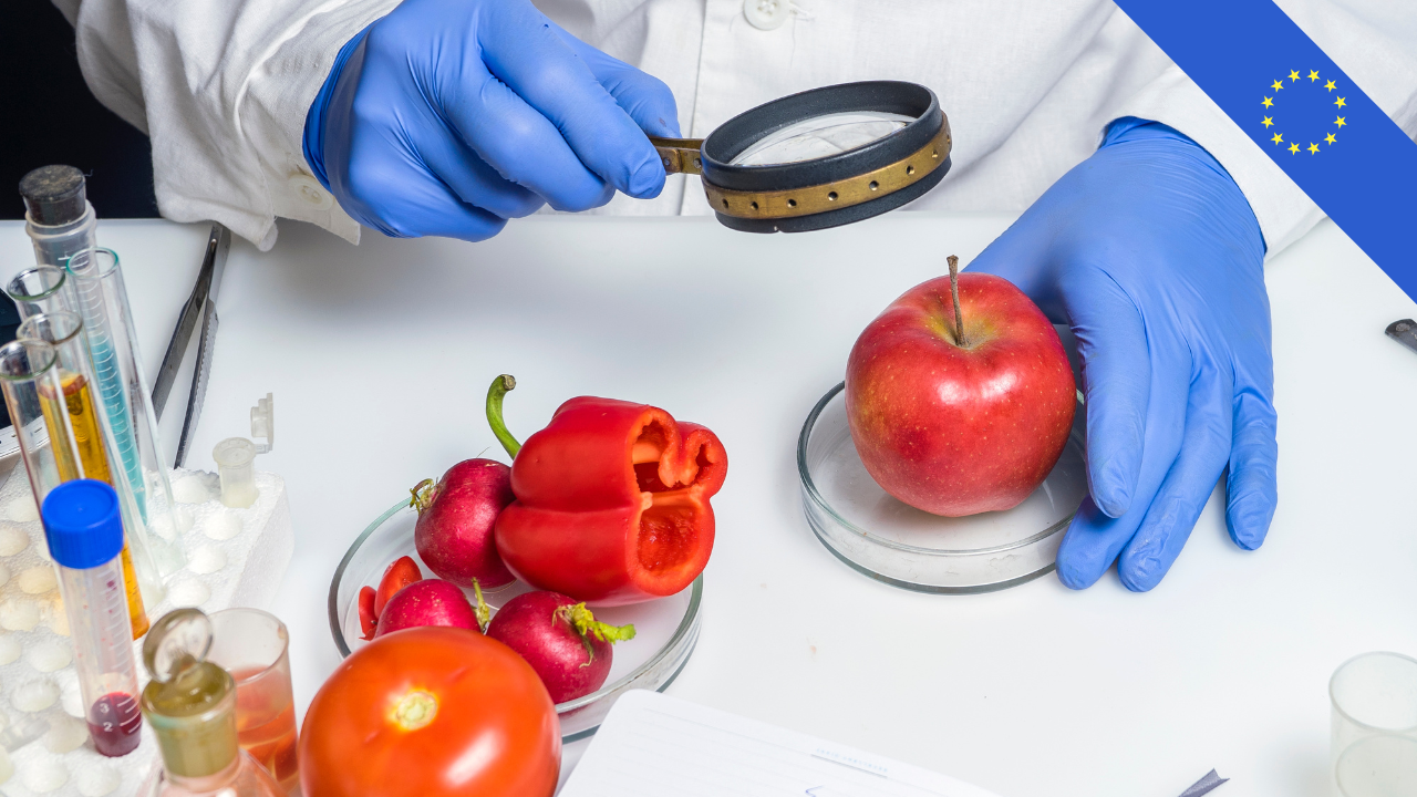 Siguranța alimentară în Moldova: Reformele necesare pentru a respecta ...